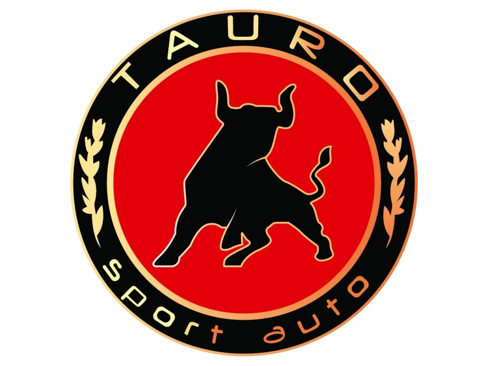 10 raster to vector logo illustrations in 1 day | Upwork