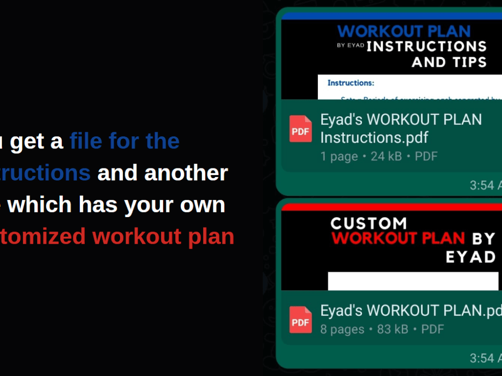 A fully customized workout plan based on your needs and preferences ...