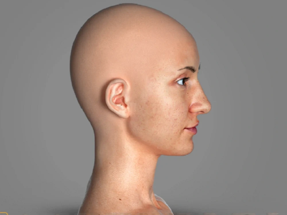 3d 2d character rendering, texturing rigging for animation or game | Upwork