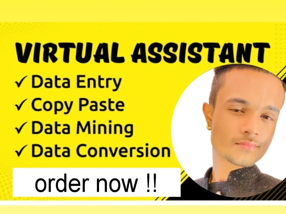 An Excel Data Entry Web Research Data Mining And Copy Paste Upwork