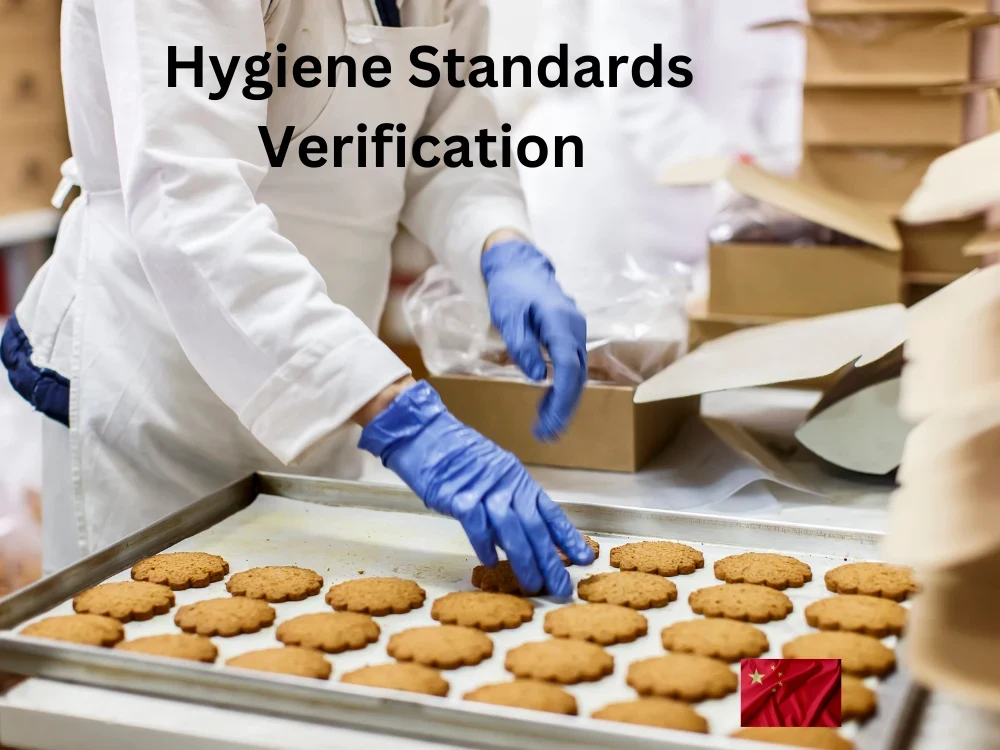 A Comprehensive On-site Inspection of Chinese Factory/Warehouse (S ...