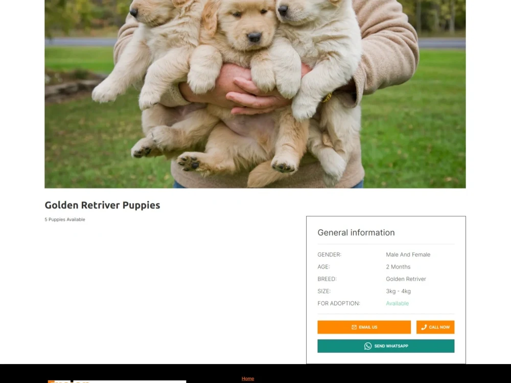 A Dog Breeder Website built with Nextjs and React | Upwork