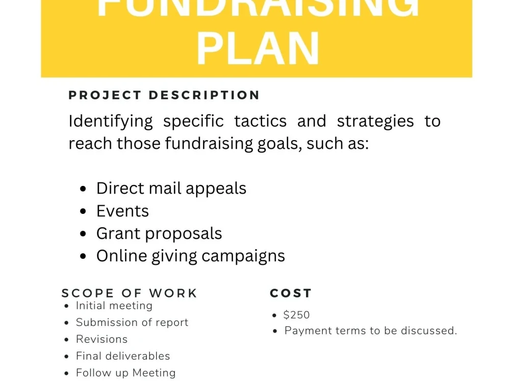 A Nonprofit Fundraising Plan | Upwork
