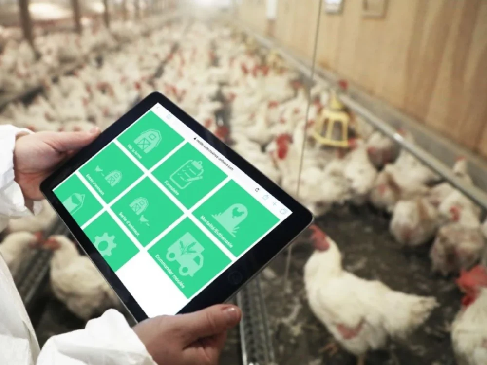 Poultry Management System based on Odoo | Upwork