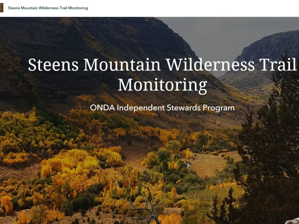 Interactive Story Map to Showcase your Organization | Upwork