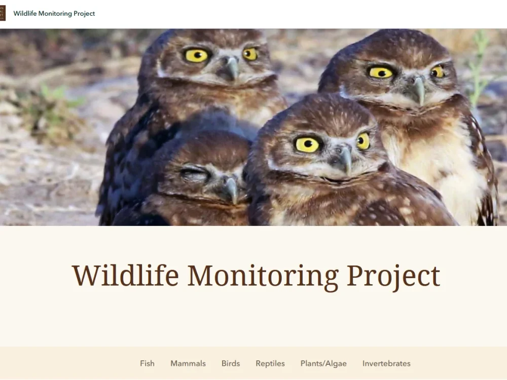 Interactive Story Map to Showcase your Organization | Upwork