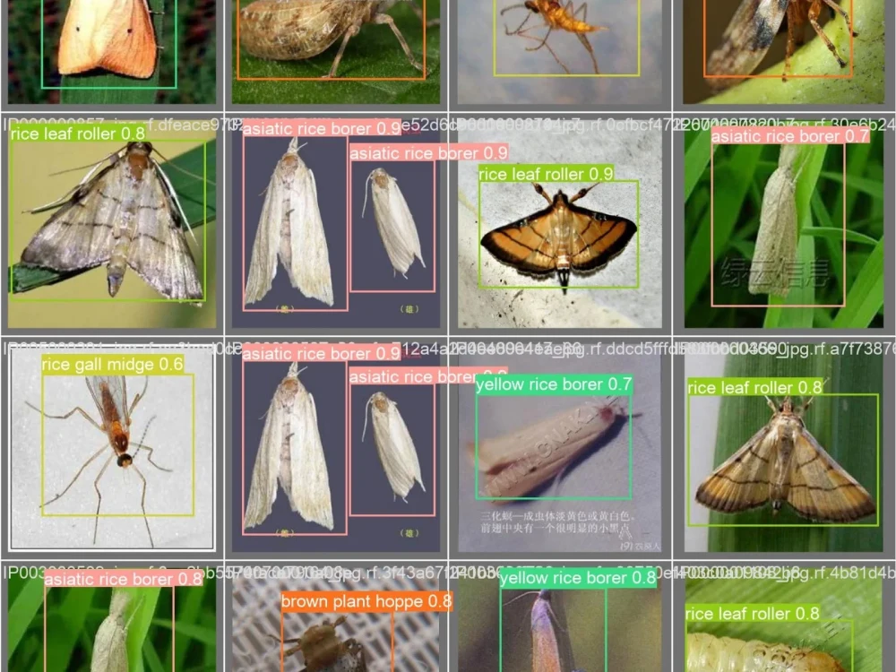 Computer vision and image processing | Upwork