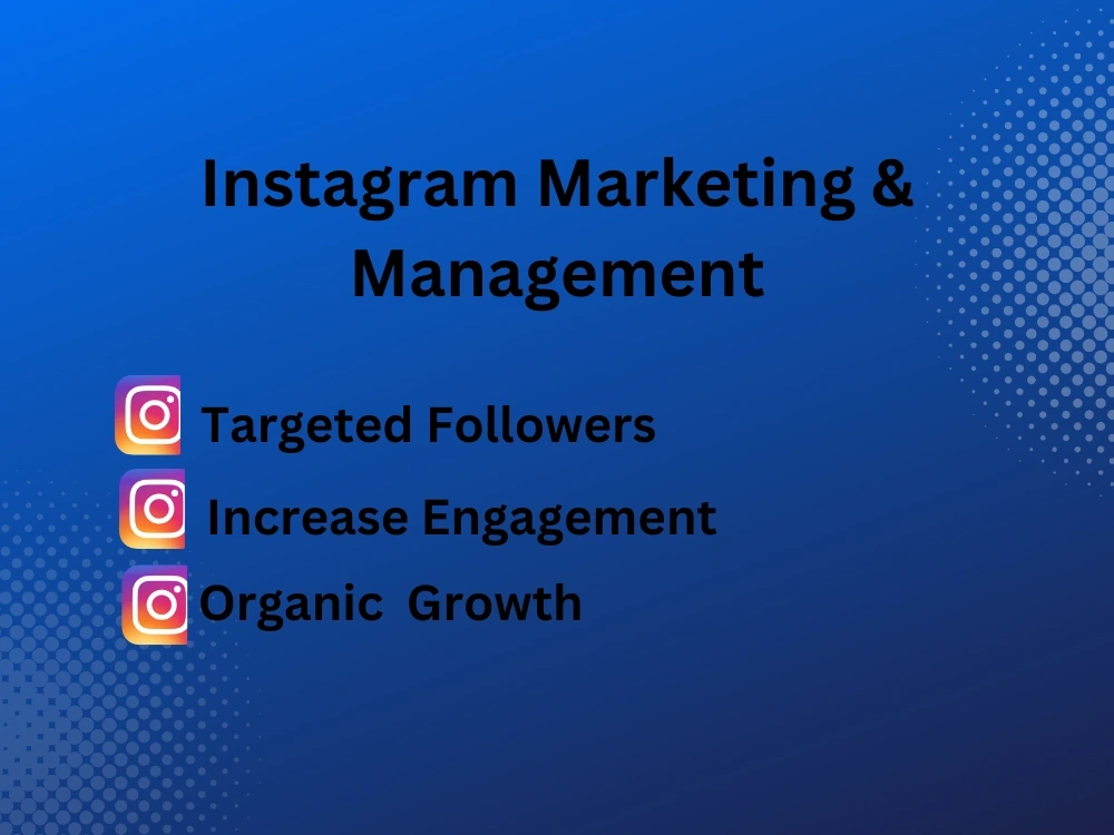 Instagram management with Organic and Targeted Followers | Upwork