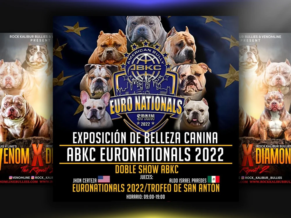 A dog stud, breeding banner and litter announcements flyer for your ...