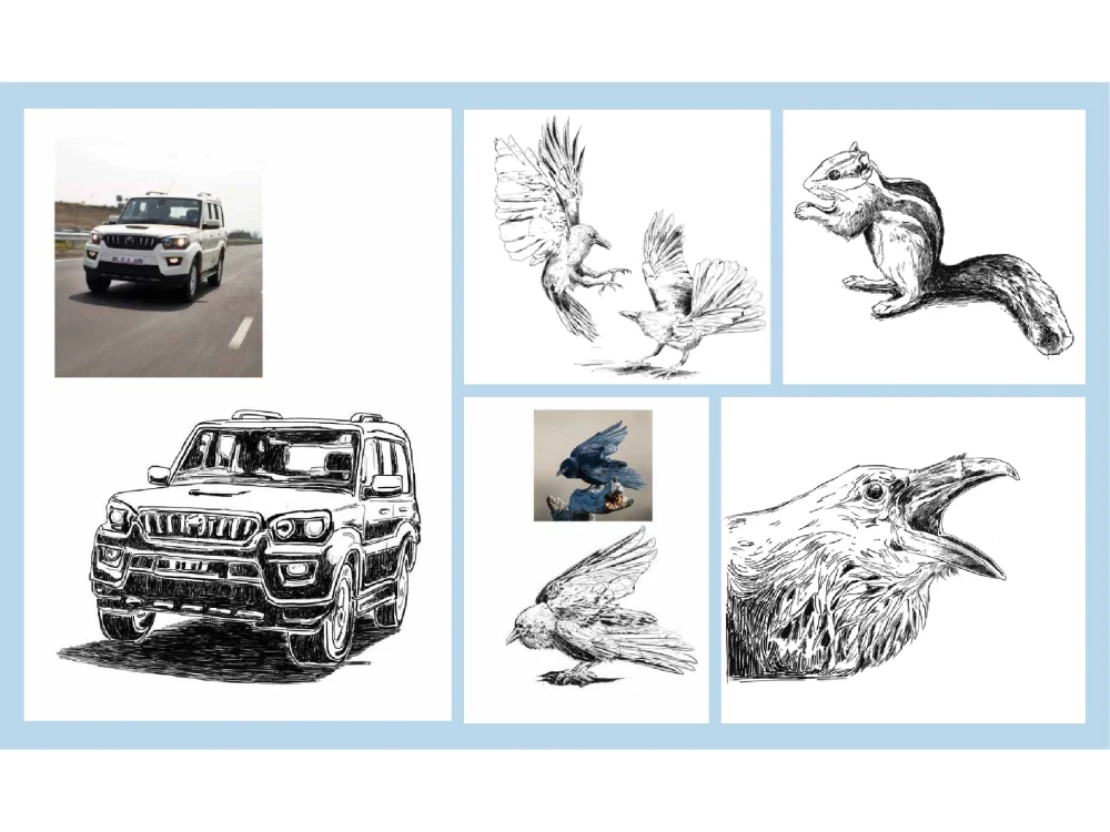 Any kind of artistic digital line art illustration | Upwork