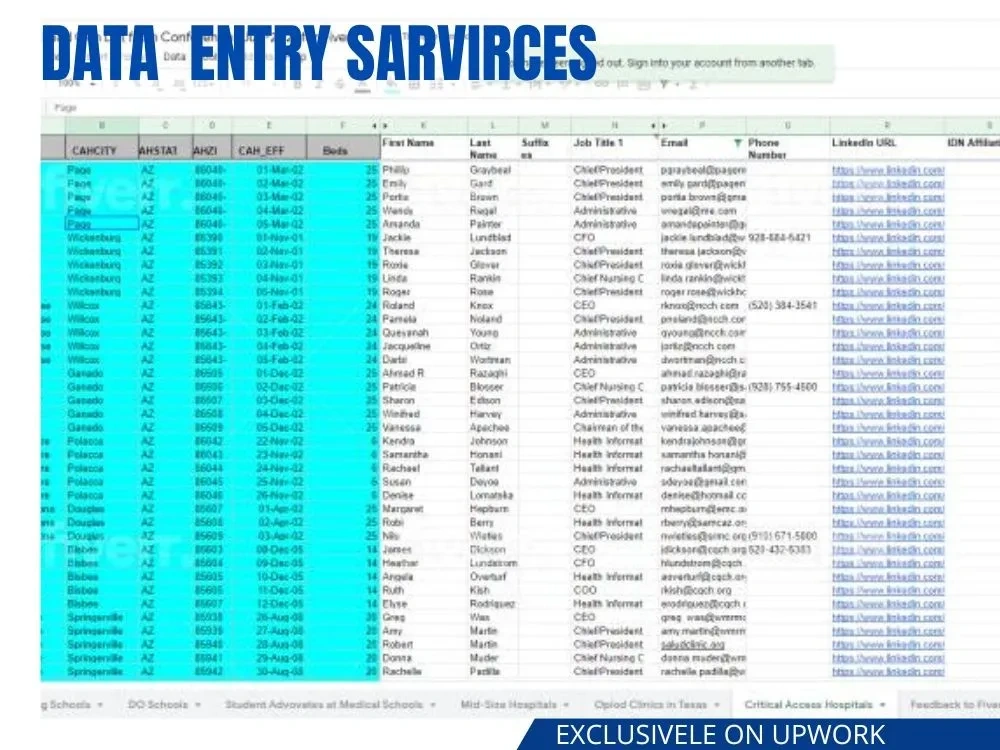 Do data entry, excel, scraping, typing, work | Upwork
