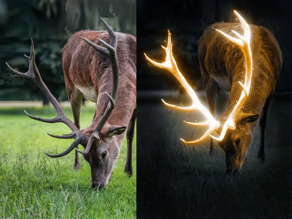 Photos filters & effects, realistic photo manipulation and images ...