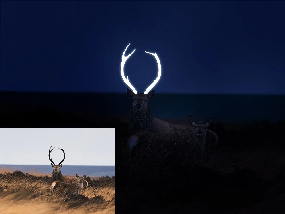 Photos filters & effects, realistic photo manipulation and images ...