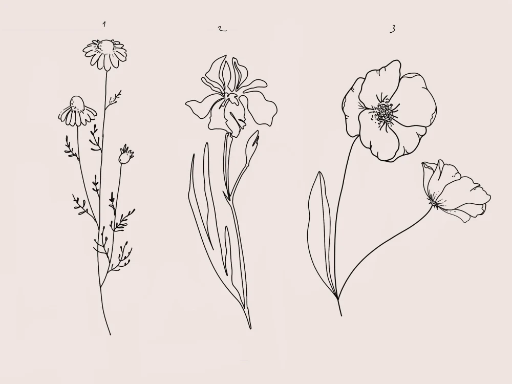 Beautiful line art illustration. | Upwork