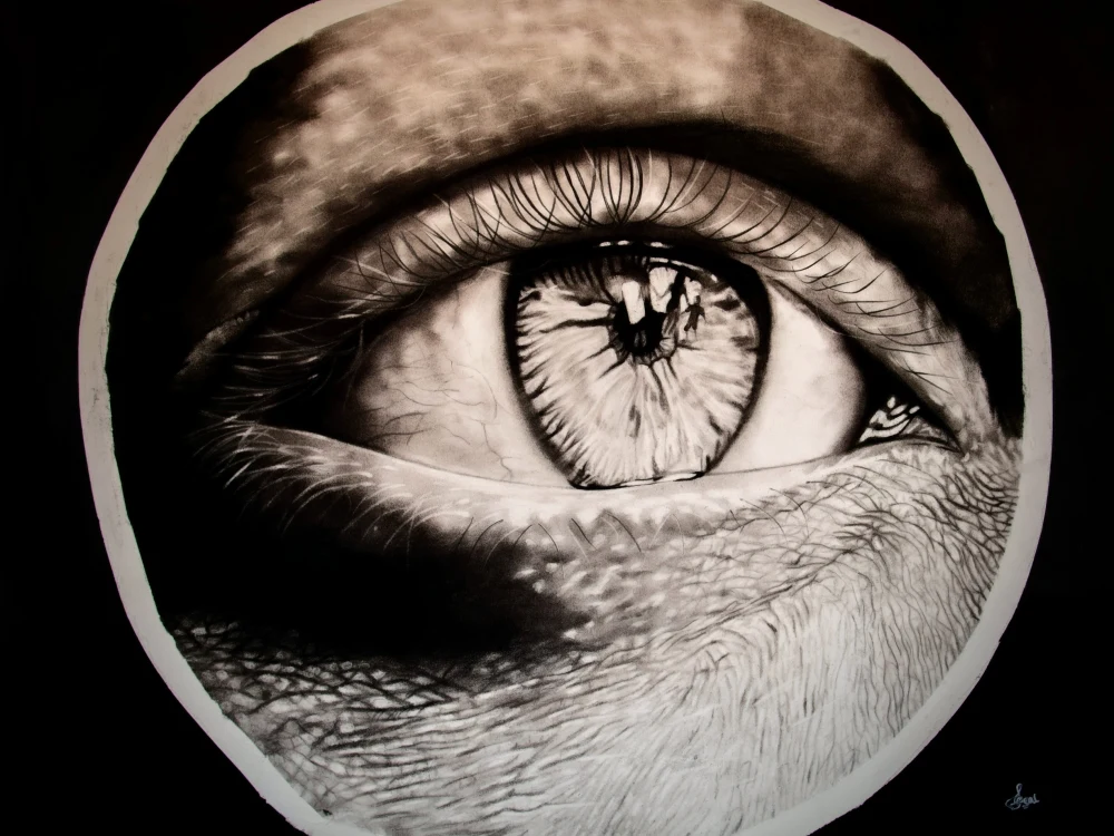 A professional pencil drawing illustration for you | Upwork