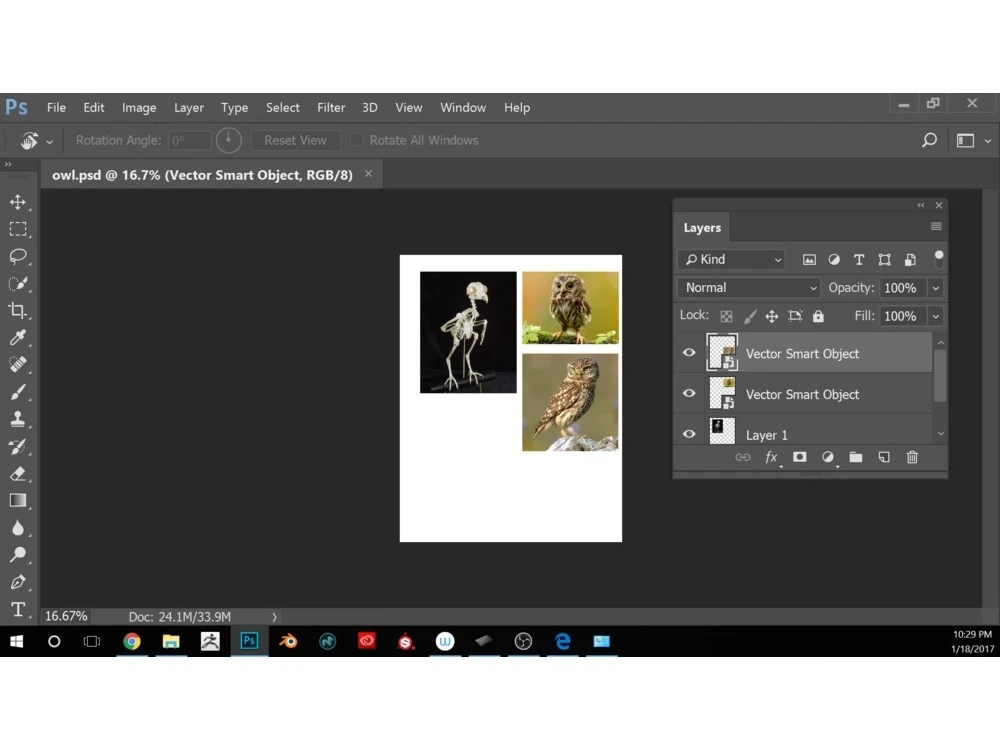 File Conversion Service, Data Entry, Document editing service, Photoshop | Upwork