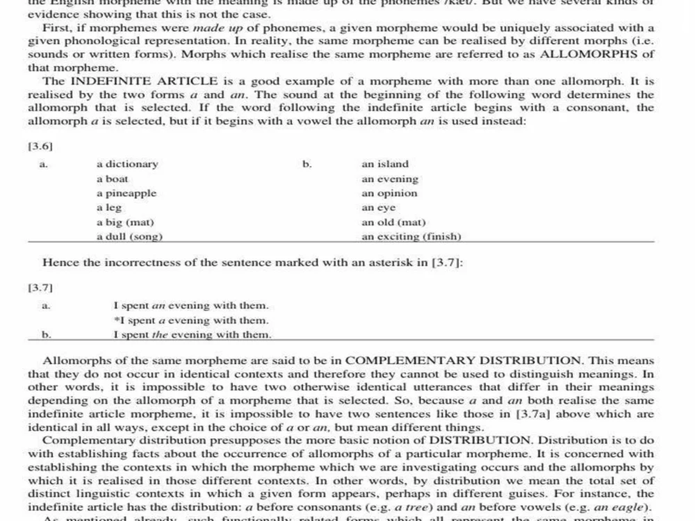 A fresh, accurate just right copy of manually typed pdf file. | Upwork
