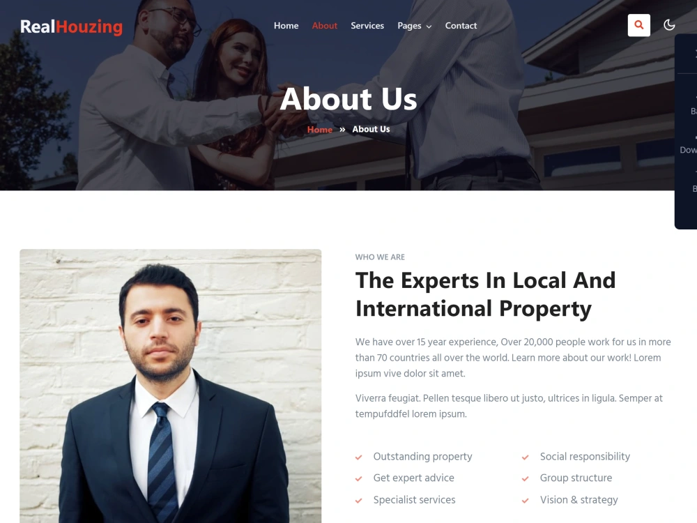 Professional website developed for Asp.NET Core Web Application | Upwork