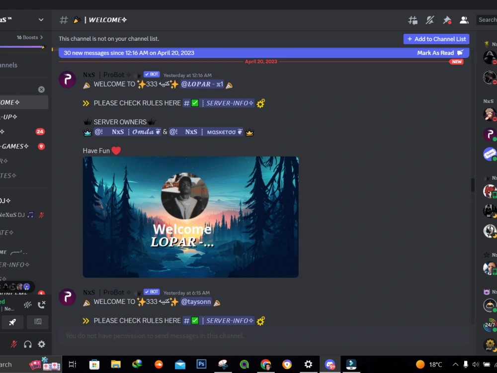 Discord (Server - Bot) Setup | Upwork