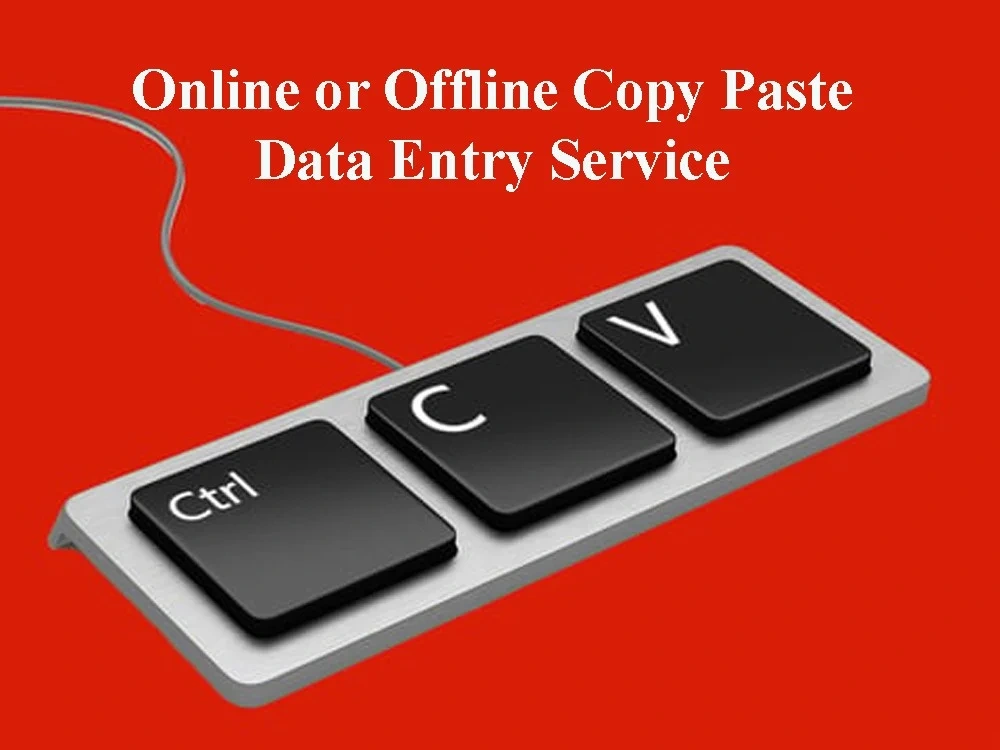 Online or Offline Copy Paste Job Service For Full-time Period | Upwork