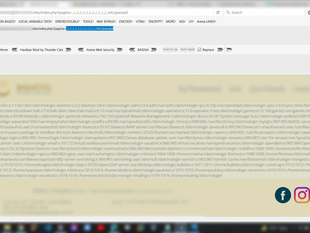 A Professional Web Application Penetration Testing And Owasp Top 10