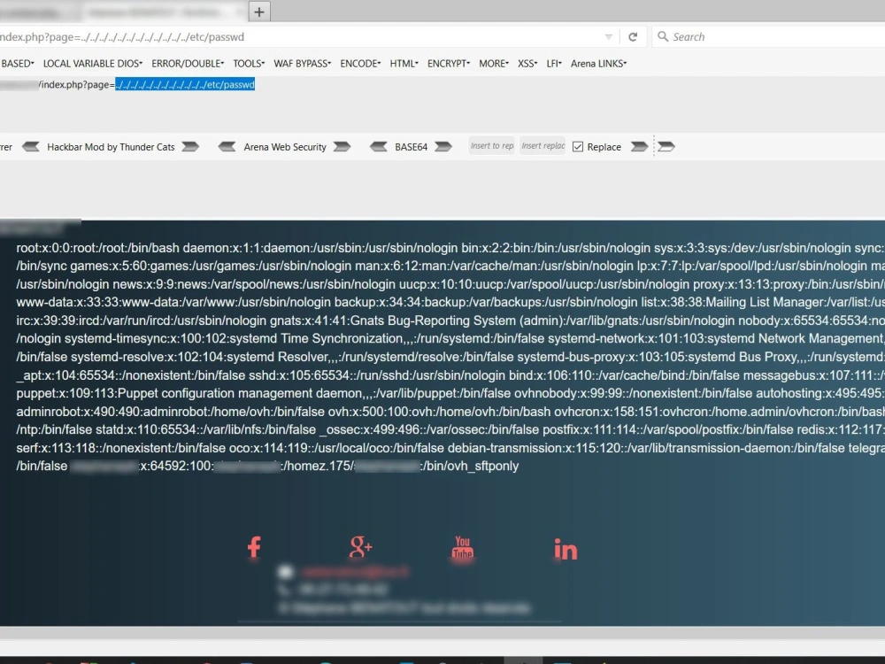 A Professional Web Application Penetration Testing And Owasp Top 10