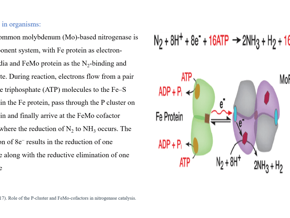 Amazing presentation on biogeochemical cycles | Upwork