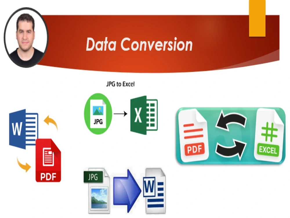 A Manually Data Conversion/Extraction From PDF/JPG to any other format ...
