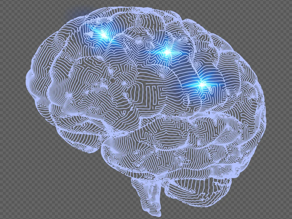 A machine learning or Deep learning model with jupyter notebook. | Upwork