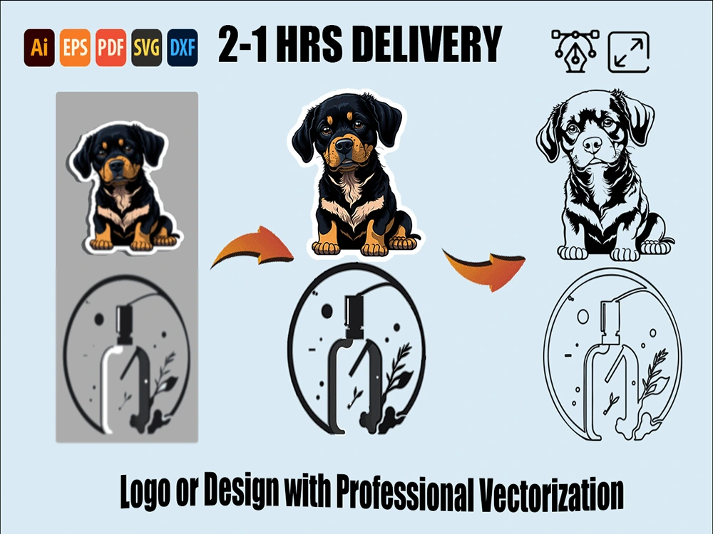Professional Vectorization Services for Your Images, Designs, and Logos ...