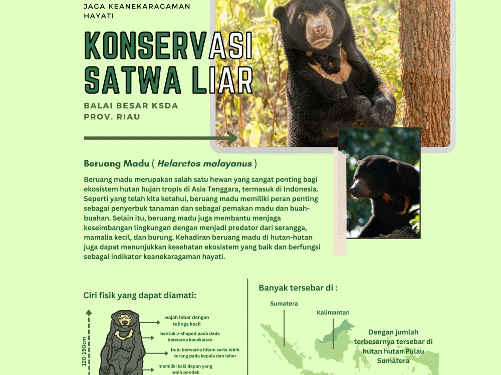 Wildlife Conservation Design: Creating Awareness for Animal ...