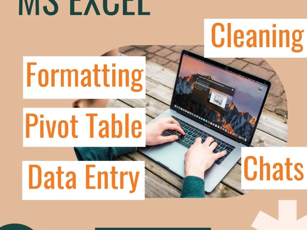 MS EXCEL, DATA ENTRY, CLEANING, FORMATTING, PIVOT TABLE, CHATS | Upwork