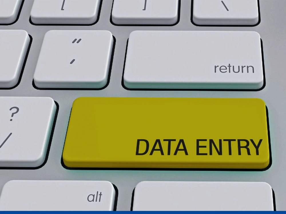 Profession data entry service with quality and quick turnover time | Upwork