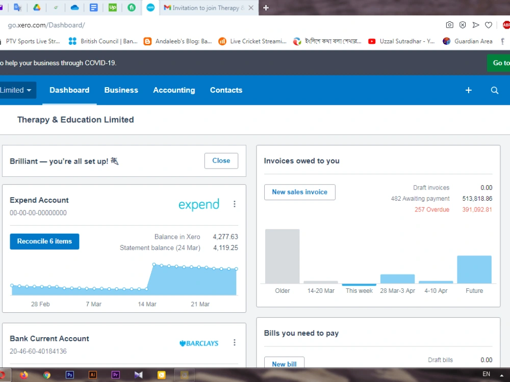 Xero Expert Accountant for your Bookkeeping and Accounting needs | Upwork