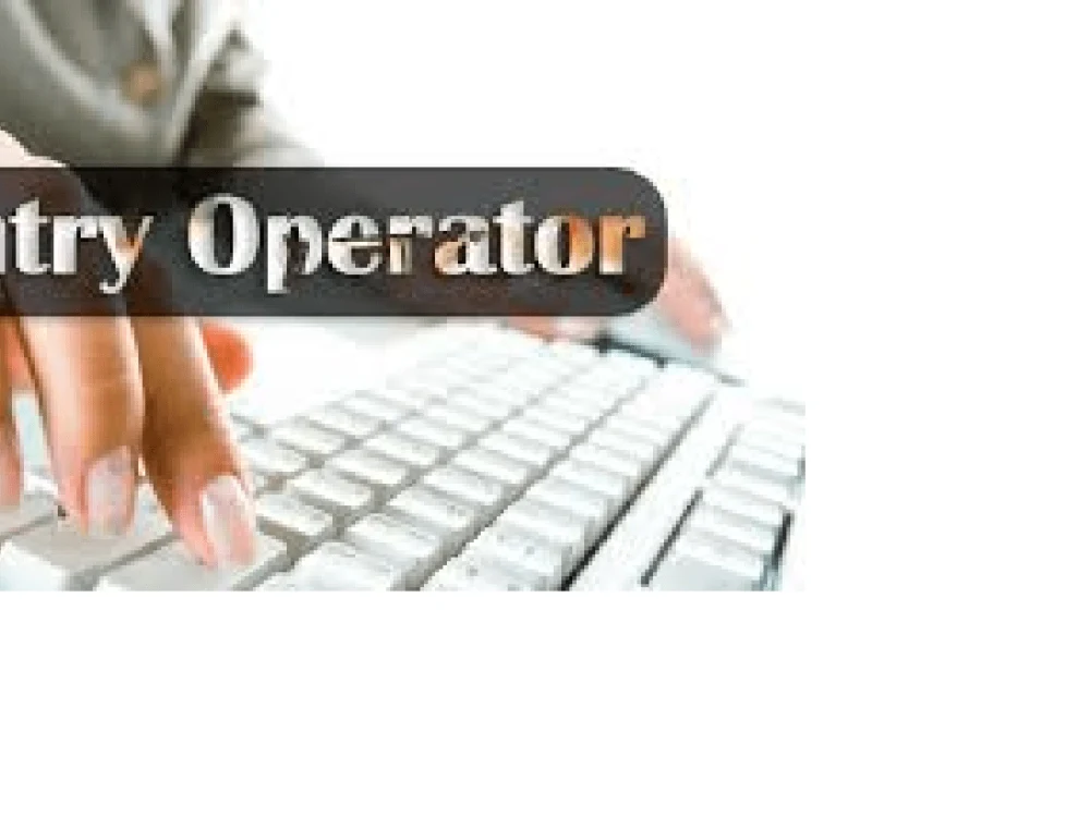 Operator for DATA ENTRY in EXCEL with full perfection | Upwork