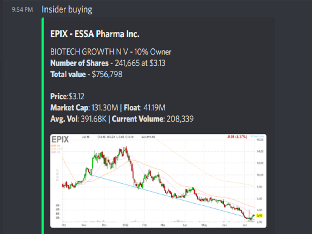 Real-time stock market data on Discord with my custom bot | Upwork