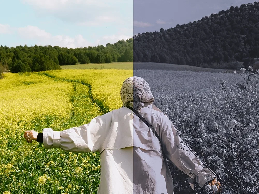 A perfect photo grading/color grading | Upwork