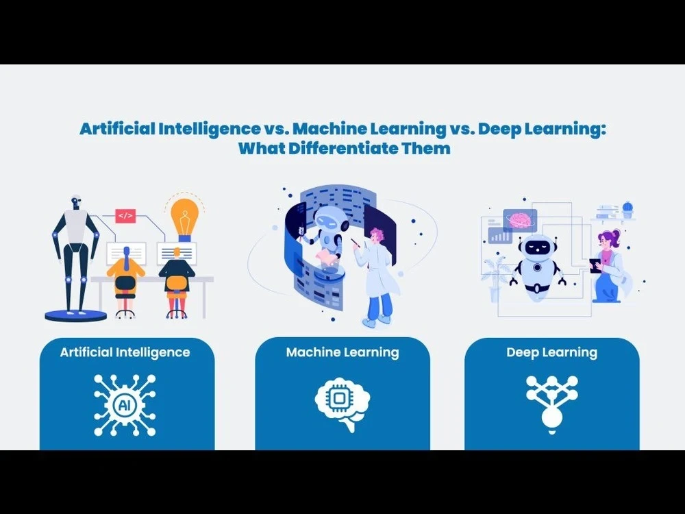 A Deep Learning/ Machine Learning Model built, trained, fine-tuned | Upwork