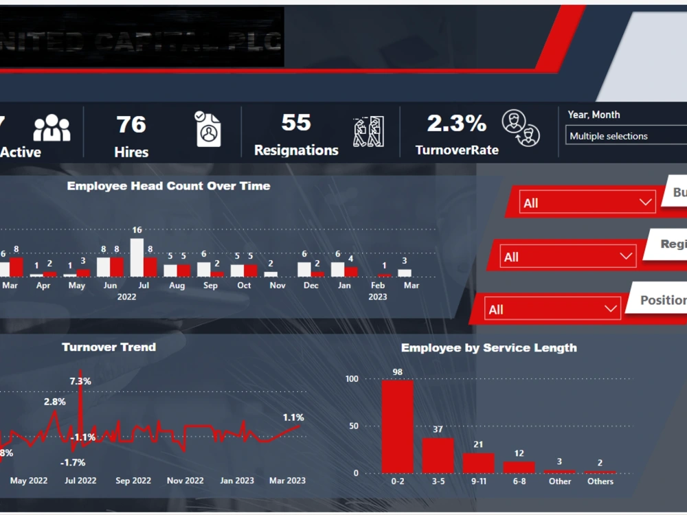 Insight-Packed Power BI Report/Dashboard for Your Business | Upwork