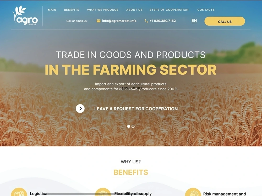 Get a top-notch Website Design that Converts | Upwork
