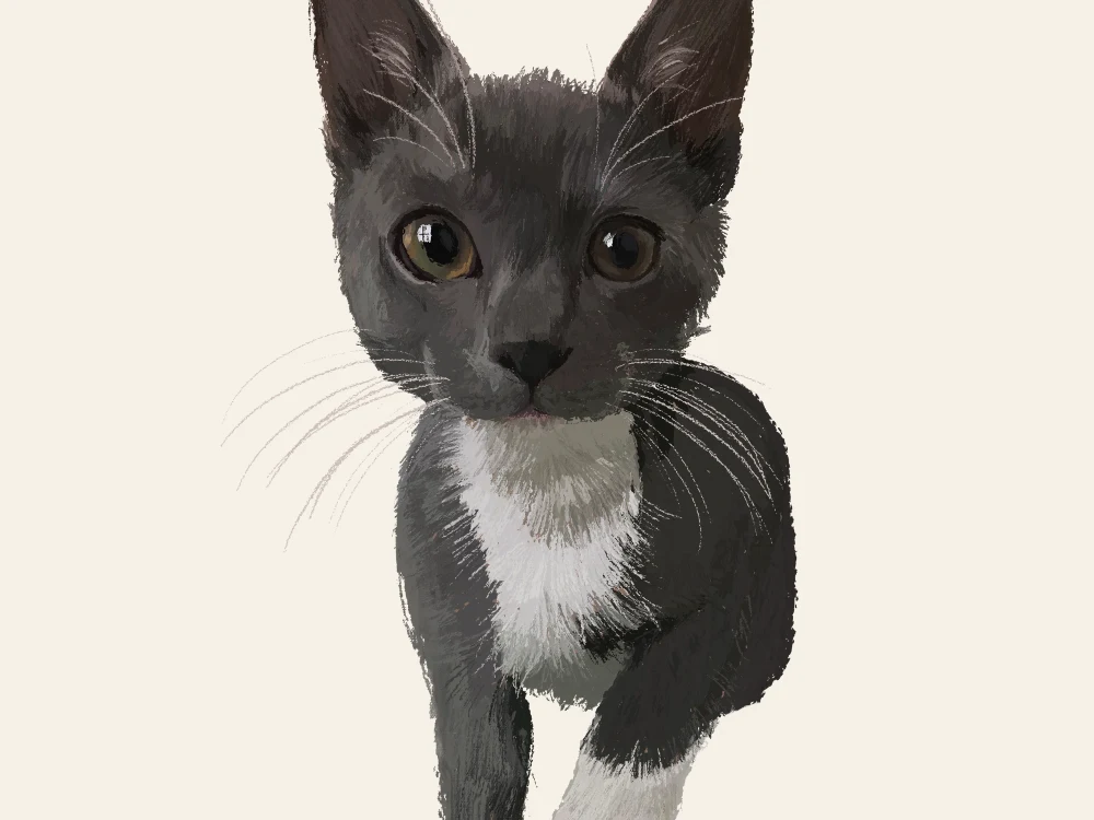 A realistic digital pet portrait | Upwork