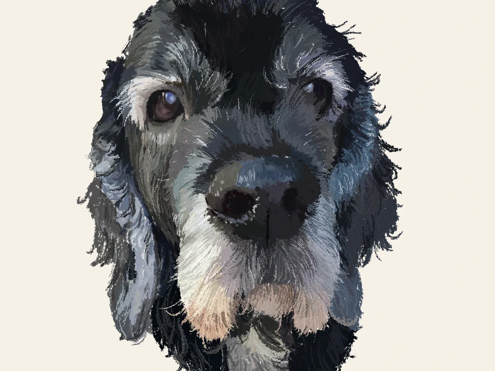 A realistic digital pet portrait | Upwork