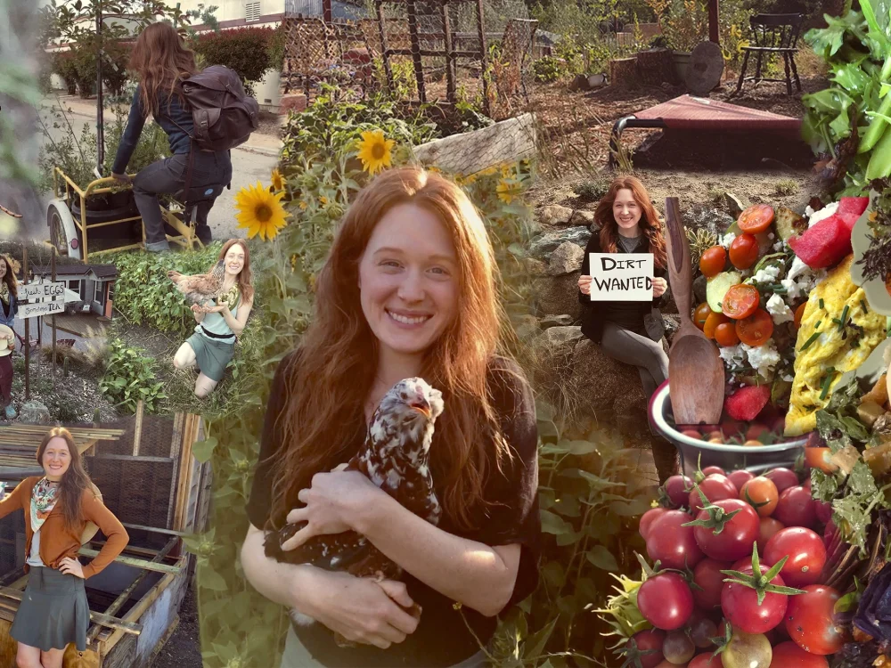 Amazing photo collage of desired style | Upwork