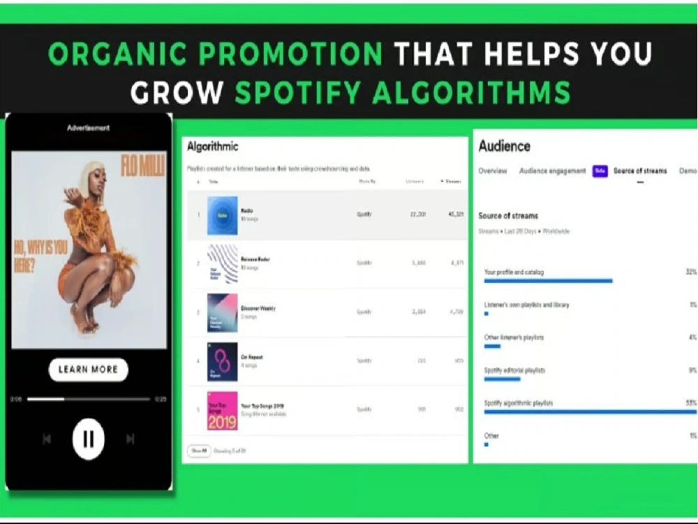 Organic viral YouTube music promotion, Spotify music promotion, music ...