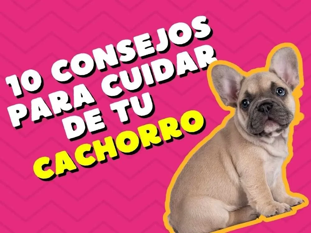 Eye catching thumbnails design for your channel | Upwork