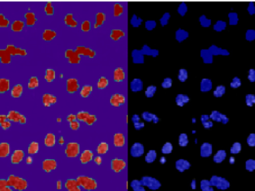 Artificial Intelligence Based Deep Learning Model ChatGPT, BERT, LLMs, CNNs | Upwork