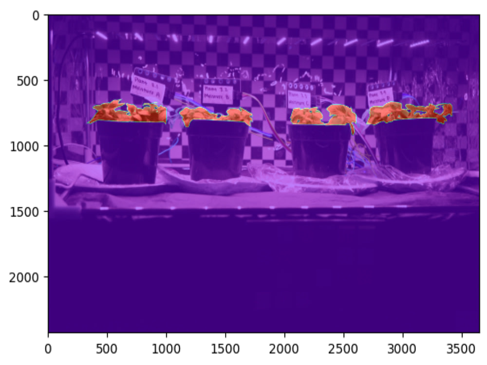 Artificial Intelligence Based Deep Learning Model ChatGPT, BERT, LLMs, CNNs | Upwork