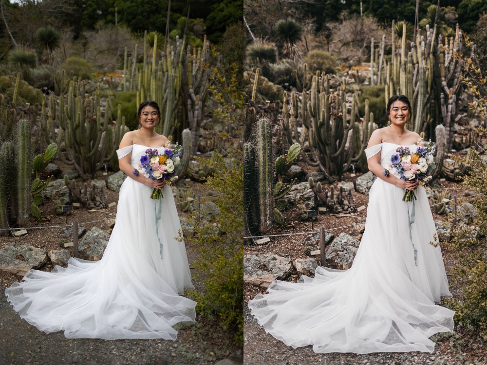 Wedding photo editing - color correction, culling and cropping, masking ...