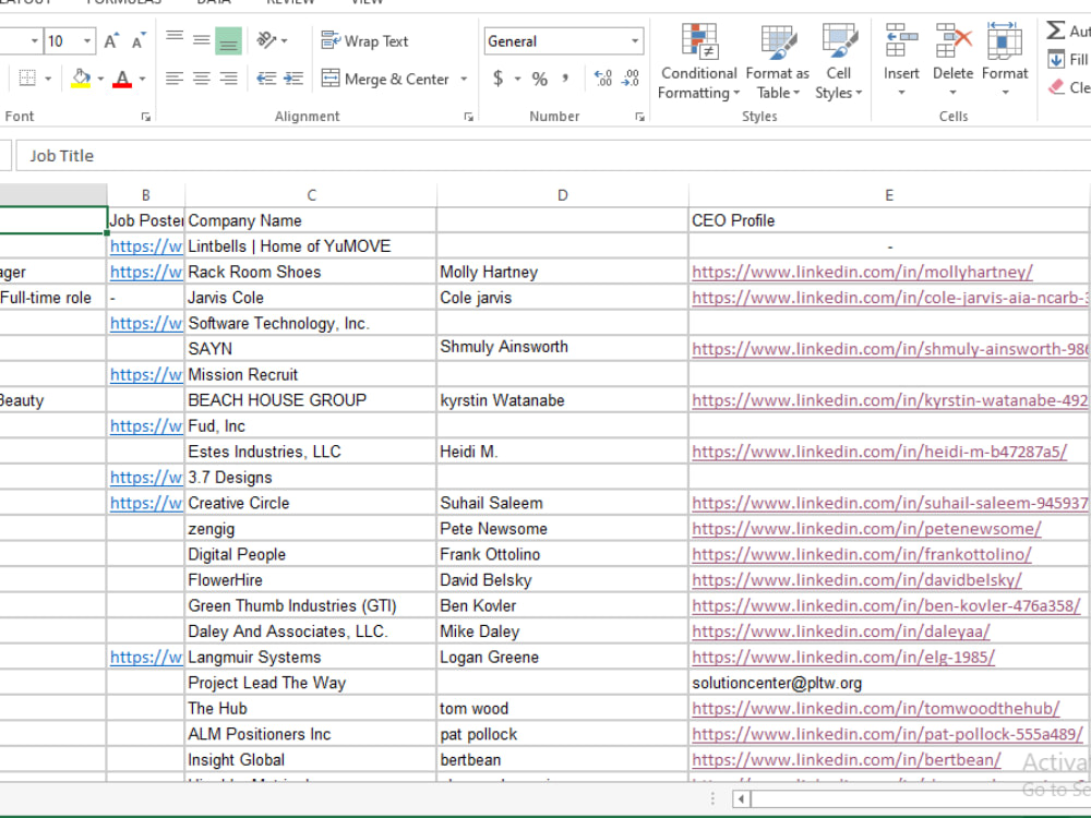 An MS office, data entry, lead generation, data scrapping expert. | Upwork