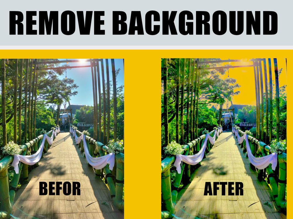 Efficient Solution to Remove Image Background | Upwork